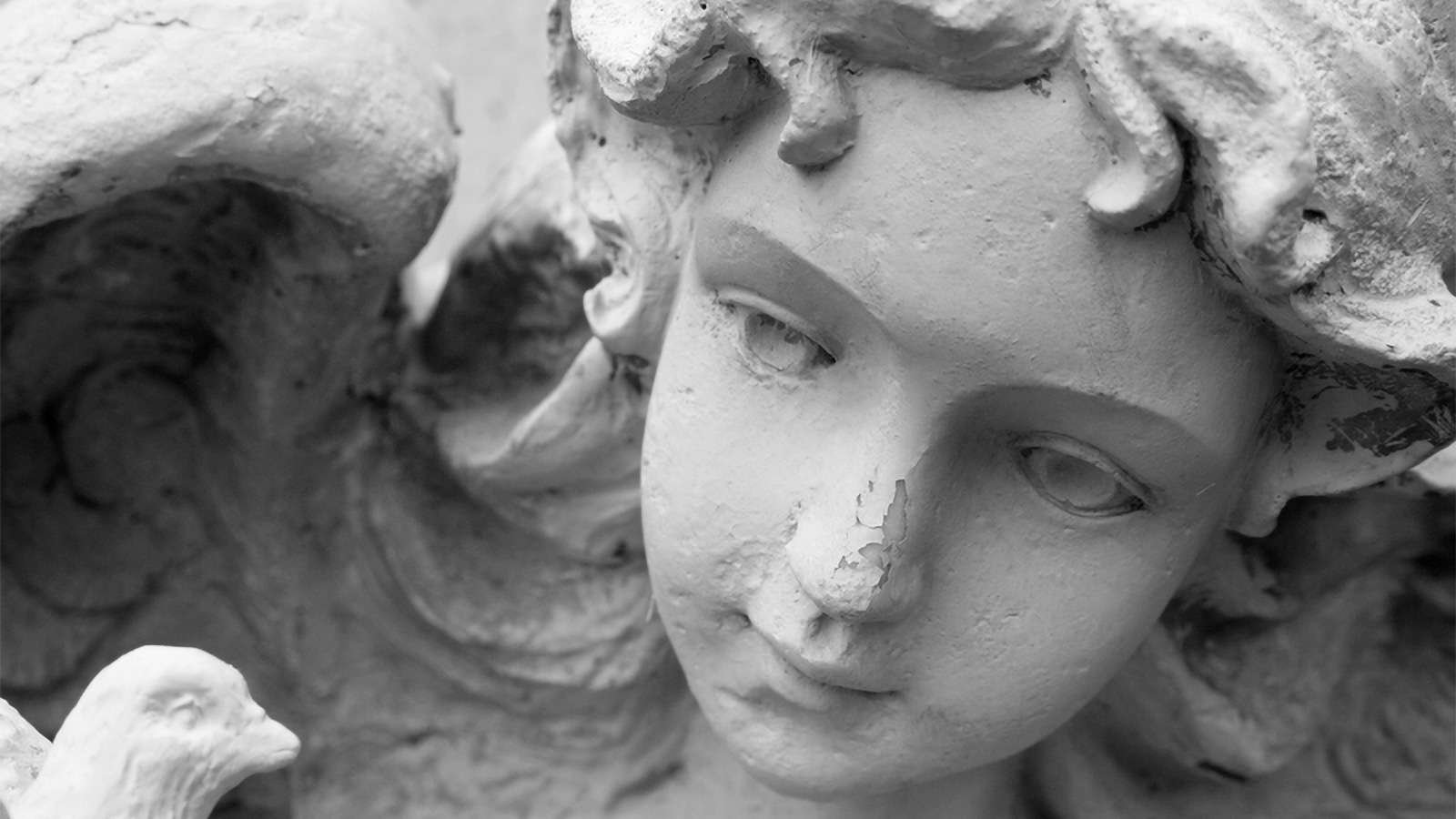 What Counsellors Need to Know About Dissociation - Brighton Therapy ...